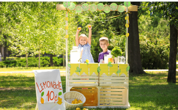 Must-Have Lemonade Stand Equipment for a Fun & Profitable Setup ...